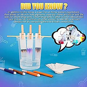 Paper Chromatography Experiment Kit With Lab Instructions - DIY Science Experiment For Home, School, Lab - Kit Includes 50-Sheet Filter Paper, Beaker, Dowel, Clips, Pens, Pencil, Detailed Instructions