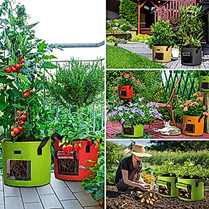 RVZHI 5 Packs 10 Gallon Potato Growing Bags, 400G Heavy Duty Fabric Potato Grow Bags with Flap, Garden Plant Grow Bags for Growing Tomato,Vegetable and Fruits with 10Pcs Plant Labels