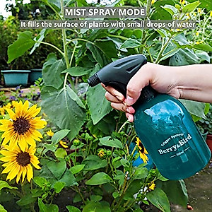 Berry&Bird Garden Plastic Spray Bottle, Refillable Empty Squirt Can Pot, Fine Mist Plant Watering Mister Trigger Cleaning Sprayer Container for Bonsai Hair 500 ml/16.9 Fl Oz