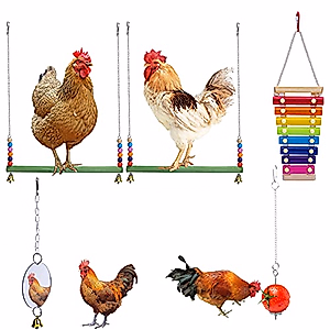 EBaokuup 5PCS Chicken Xylophone Toy Set - Natural Wooden Chicken Swing Toys - Chicken Mirror Chicken Veggies Skewer Fruit Holder - Chicken Toys for Hens