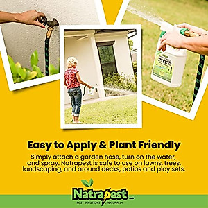 Natrapest Yard Spray - Ready to Use Flea, Tick & Mosquito Yard Spray with Natural Essential Oils - Plant Based Formula is Plant, Pet & Kid Safe - Insect Killer, Treatment & Repellent - 32 oz