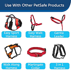 PetSafe Nylon Dog Leash – Strong, Durable, Traditional Style Leash with Easy to Use Bolt Snap – 3/4" x 6', Red