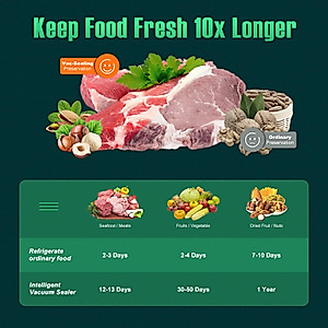 LUV Automatic Vacuum Sealer Machine: 80kpa Suction Touch Automatic Food Sealer With External Vacuum System Compact Design 10pcs Seal Bags Starter Kit Dry Moist Fresh Modes For All Saving Needs (Green)
