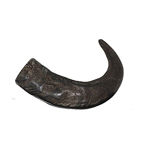 peaksNpaws Premium Free Range & Grass Fed Buffalo Horns - Medium