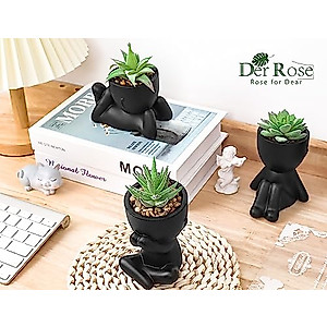 Der Rose 3pcs Fake Succulents Plants Artificial for Bathroom Bedroom Home Room Decor Aesthetic Indoor