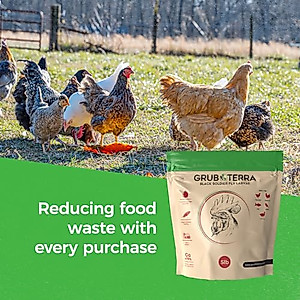 GrubTerra Dried Black Soldier Fly Larvae, Non-GMO Healthy Chicken Treats for Chicken, Ducks, Turkeys and Other Wild Birds with 75x More Calcium Than Dried Mealworms. (5lb)