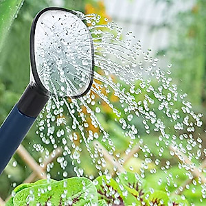 1 Gallon Watering Can for Indoor Plants, Garden Watering Cans Outdoor Plant House Flower, Gallon Watering Can Large Long Spout with Sprinkler Head