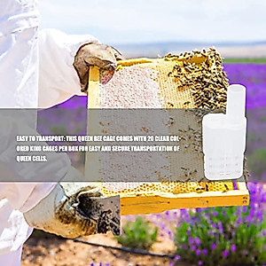 CHICIRIS Bee Cage Easy Carry Plastic Safe Transport King Cage Transport Box for Bee Farm