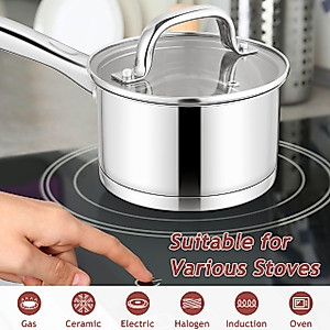 E-far Stainless Steel Saucepan with Lid, 1 Quart Small Sauce Pan Induction Pot for Cooking, Boiling, Compatible with All Stoves, Healthy & Non Toxic, Oven & Dishwasher Safe