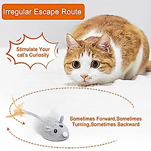 Interactive Cat Mouse Toy, Automatic Cat Toys with Feather Tail, Realistic Mouse Cat Toy Simulates Kitten Toys Self Play, Cat Toys Pet Exercise Toys with USB Charging