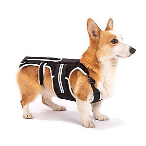 LufeLux Back Brace for Dogs with IVDD, Arthritis, Back Pain, Surgical Recovery and Rehabilitation, Dachshund Back Pain Relief, IVDD Harness(Large)