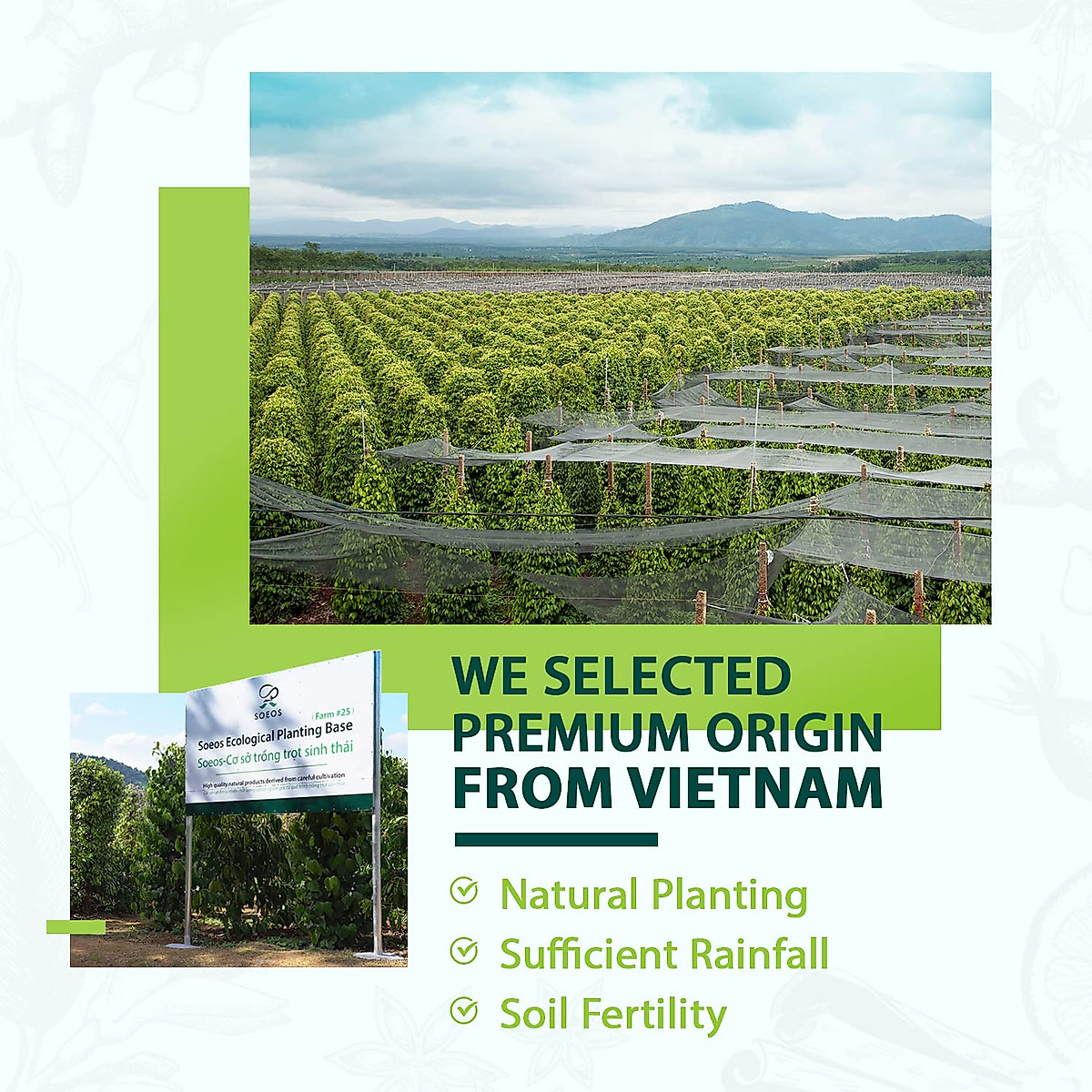 Soeos Black Peppercorns, 16oz (Pack of 1), Non-GMO, Kosher, Packed to Keep Peppers Fresh, Peppercorn for Grinder Refill, Whole Peppercorns