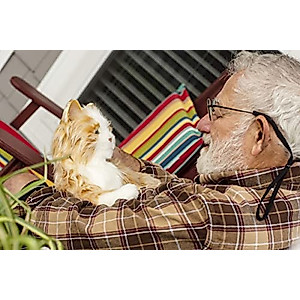 JOY FOR ALL Companion Pet for Seniors - Lifelike Animatronic Cat - Realistic Soft-Touch Fur & Purring - Therapy Stuffed Animal - Toy for Alzheimer's & Dementia - Orange Tabby