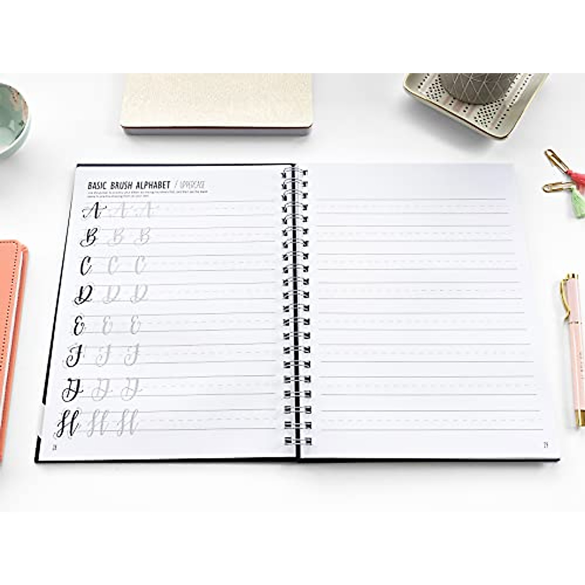 The Ultimate Guide to Modern Calligraphy & Hand Lettering for Beginners