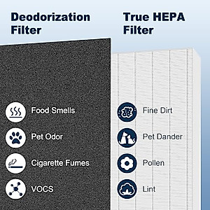 4 Pack 115115 HEPA Replacement Filter A Size 21 Compatible with Winix PlasmaWave C535 5300 5300-2 5500 5500-2 6300 6300-2 P300 AM90 9000 5000 5000B C909 9800 Air Purifier by PETOX