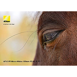Nikon AF-S VR Micro-NIKKOR 105mm f/2.8G IF-ED Lens (Renewed)