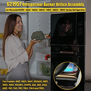 DearChan 621957 Refrigerator Burner Orifice Assembly, Burner Replacement for Norcold N1095/ N61X/ N62X/ N64X/ N81X/ N82X/ N84X Series Refrigerator, with Orifice Adapter