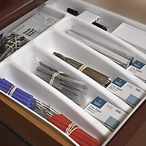 Classroom Dissection Set