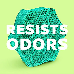 Scotch-Brite Scrub Dots Advanced Heavy Duty Sponges for Cleaning Kitchen, Bathroom, and Household, Heavy Duty Safe for Non-Coated Cookware, 6 Scrubbing Sponges