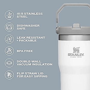 Stanley IceFlow Flip Straw Tumbler with Handle 20 oz | Twist On Lid and Flip Up Straw | Leak Resistant Water Bottle | Insulated Stainless Steel |BPA-Free | Citron