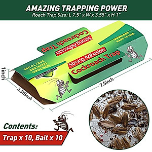 Roach Traps, Cockroach Killer Indoor Home, Sticky Glue Traps for Bugs Insects-10 Pcs