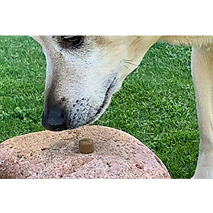 Essential Pet Pet Eze Calming Support Soft Chews for Dogs, Brown, One Size