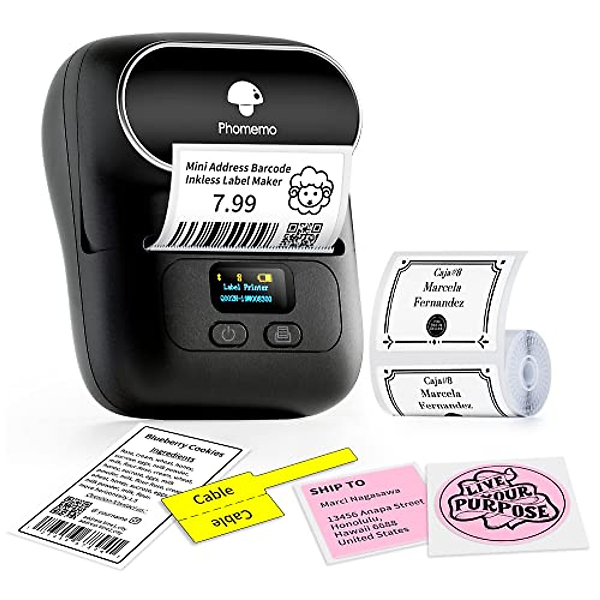Phomemo M110 Portable Bluetooth Thermal Label Printer
