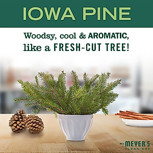 MRS. MEYER'S CLEAN DAY Variety, 1 Mrs. Meyer's Multi-Surface Cleaner, 16 OZ, 1 Mrs. Meyer's Multi-Surface Cleaner, 16 OZ, 1 CT (Orange Clove + Iowa Pine)