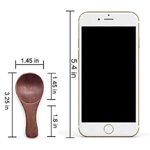 HANSGO Small Wooden Spoon, 10PCS 3 inches Ice Cream Salt Spoon Honey Coffee Tea Sugar Salt Jam Mustard Spoons