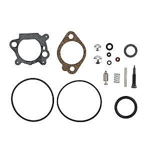 Buckbock 498260 Carburetor Overhaul Kit and Float Bowl for Briggs and Stratton 498260 498261 796611 493762 492495 493640 490937 398183 for 20-141-1 20-141 Carb Fit for 3.5 4HP Max Series Engine