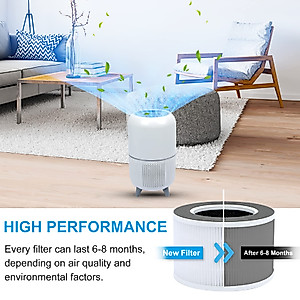 RichBring 2-Pack HEPA Air Purifier Replacement Filter Compatible with Tredy TD-1500 & TD-1500BM