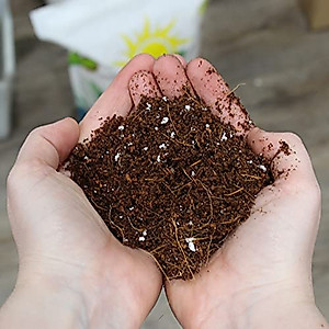 Coco Peat Perlite Potting Mix (2 Quarts), Loose Coconut Coir and Perlite
