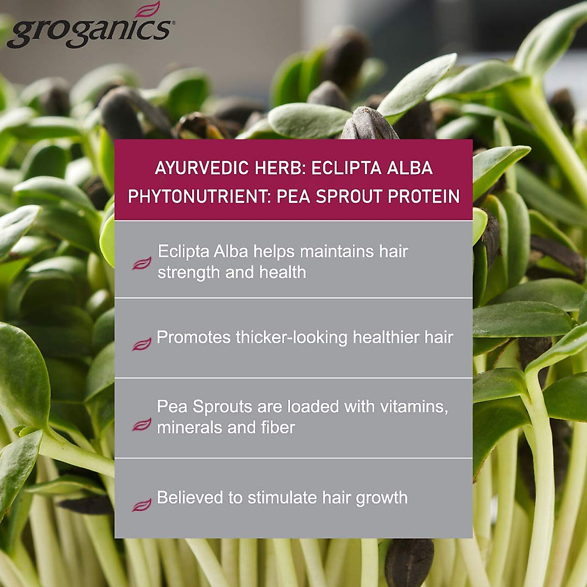 Groganics Hair Gro-N-Wild Hair Dress 6oz