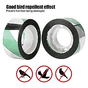 GLOGLOW Reflective Scare Birds Tape, Garden Orchard Accessories Bird Scare Ribbon Reflective Scare Tape Thick for Scare Birds Away(2 Pieces of Green Silver, 80m)