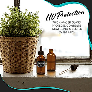 Nevlers 24PK 2 Oz Amber Glass Dropper Bottle |Leakproof Bottle with Dropper Set| Amber Glass Dropper Bottles Useable as Oil Dropper Tincture Bottles, Medicine Droppers, Travel Dropper Bottle & More