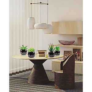 Canirologas 4pcs Succulents Artificial Plants in Pots Small Fake Plants Mini Artificial Greenery for Home Bathroom Desk Office Indoor Room Farmhouse Decorations