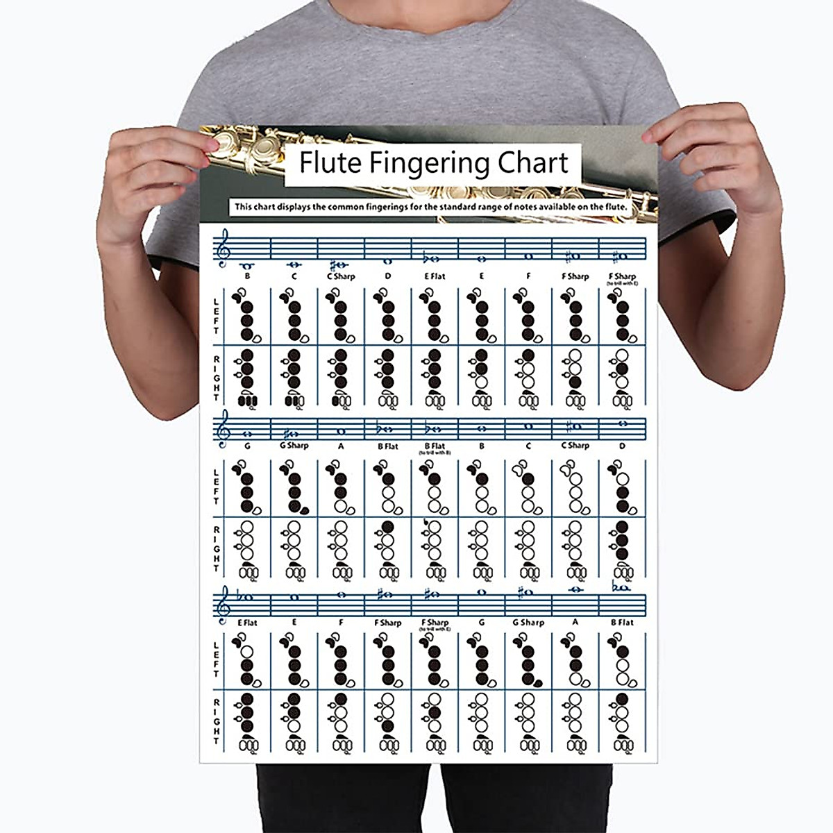 SYCOOVEN Flute Chord Chart, Portable Durable Flute Fingering Chart, White Chord Chart for Flute Fingering Practice, Chord Chart Beginner Student for Teaching or Group Study, Flute Accessories