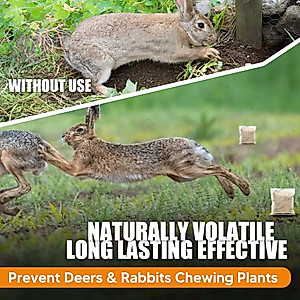 FANDISES Deer Repellent, Rabbit Repellent Outdoor, Deer and Rabbit Repellent for Plants, Powerful Rabbit Repellent for Garden, Deer Deterrent for Garden, Deer Away, Rabbit Deterrent for Yard - 10P