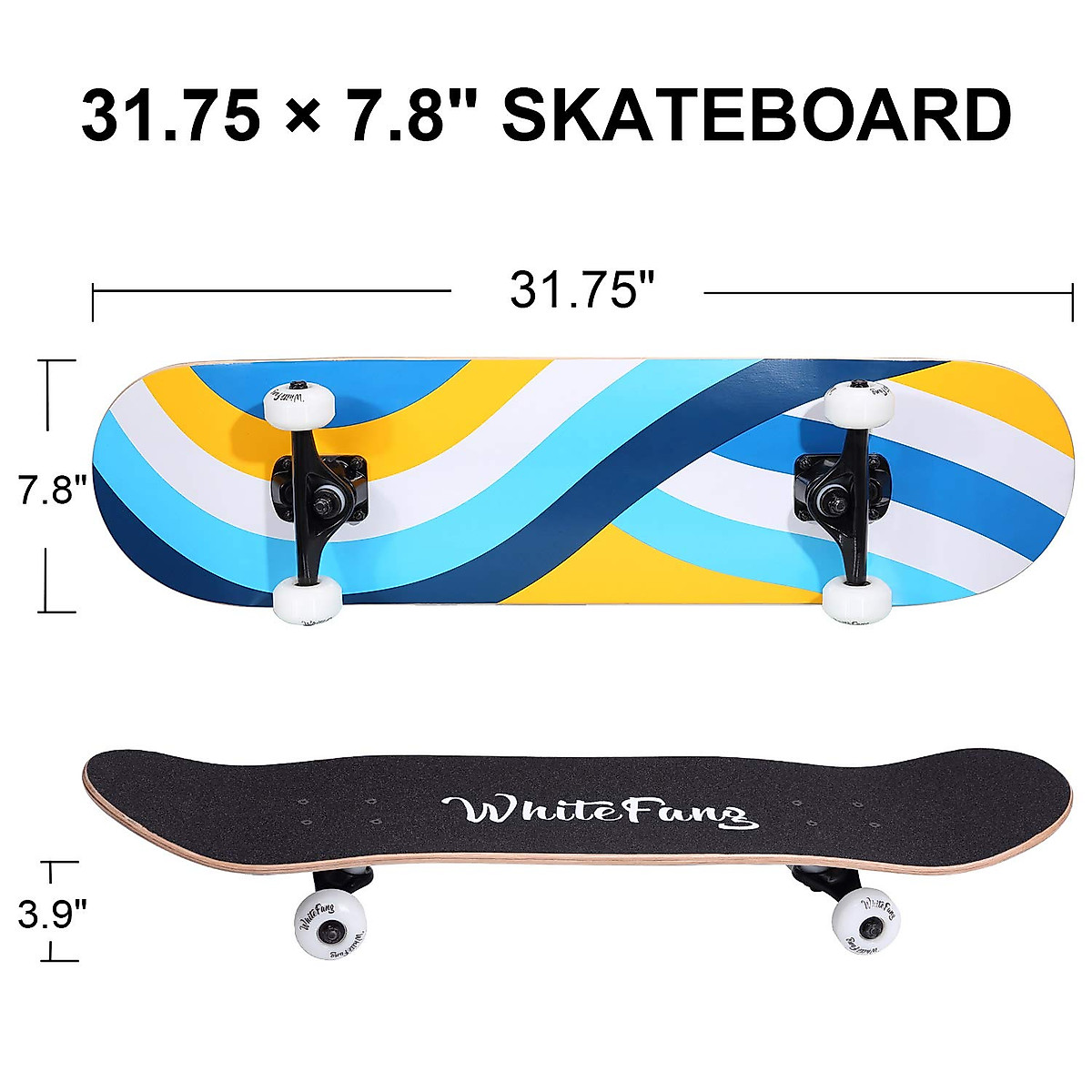 WhiteFang Skateboards for Beginners, Complete Skateboard 31 x 7.88, 7 Layer Canadian Maple Double Kick Concave Standard and Tricks Skateboards for Kids and Beginners (Skate Lane)