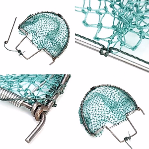 WBTY Catching Bird Net Bird Pigeon Humane Live Trap Mesh for Sparrows Pigeons Quail and Small Birds (20cm)