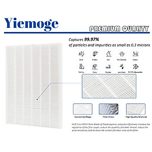 Yiemoge True HEPA Replacement Filter H 116130 Compatible with Winix Air Purifier 5500-2 and Models AM80 (3 HEPA Filters)