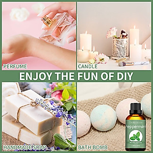 Sedbuwza Peppermint Essential Oil, Peppermint Oil 100% Pure Natural Peppermint Fragrance Oil for Massage Diffuser Humidifier Candle Soap Aromatherapy Making - 3.38 OZ/100ML