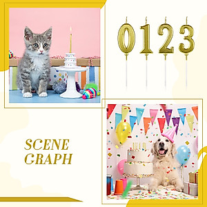 Shihanee 84 Pcs Birthday Candles Set, 30 Birthday Numeral Candles 0-9 Cake Candles, 48 Birthday Party Long Thin Cake Candles Metallic, 6 Happy Birthday Cake Toppers for Wedding Christmas(Gold)