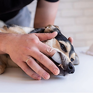 CONSIO 4Pcs Dog Finger Toothbrush, Use Food Grade Silicone,Easy Teeth Cleaning, Dental Care for Puppies, Cats and Small Pets