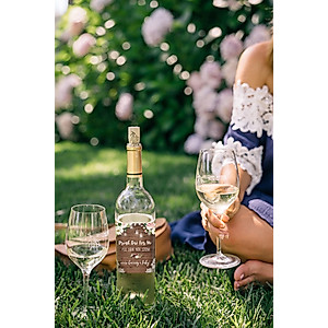 WHING Funny Pregnancy Announcement Milestones Wine Bottle Labels, Set of 5 Pieces Waterproof Sticker Covers, We're Having a Baby, Promoted to Grandparents, Brothers Sisters Promoted to Aunts Uncles