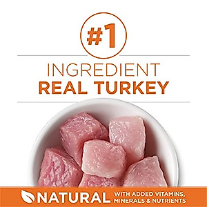 Purina ONE High Protein, Healthy Weight Dry Cat Food, +Plus Ideal Weight With Turkey - 16 lb. Bag