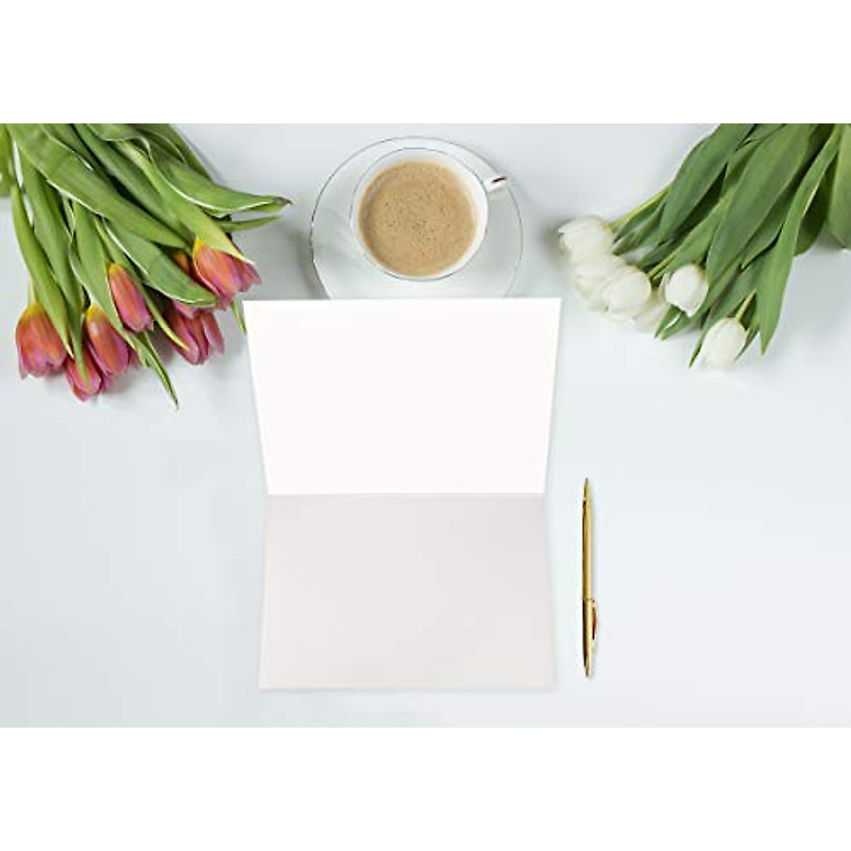 Llama Birthday Card,Funny Alpaca Birthday Cards For Friends