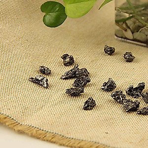 Large Massive Meteorite Specimen, Campo Del Cielo Meteorite with Gift Box, Moon Rock Sample, Astronomy Gifts for Space Fans, Great for Science Classrooms, Rocks, Minerals Collection