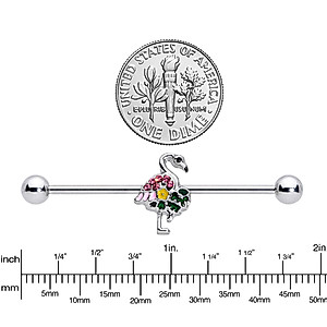 Body Candy Womens 14G Stainless Steel Helix Cartilage Earring Pink Accent Flamingo Industrial Barbell 1 1/2"