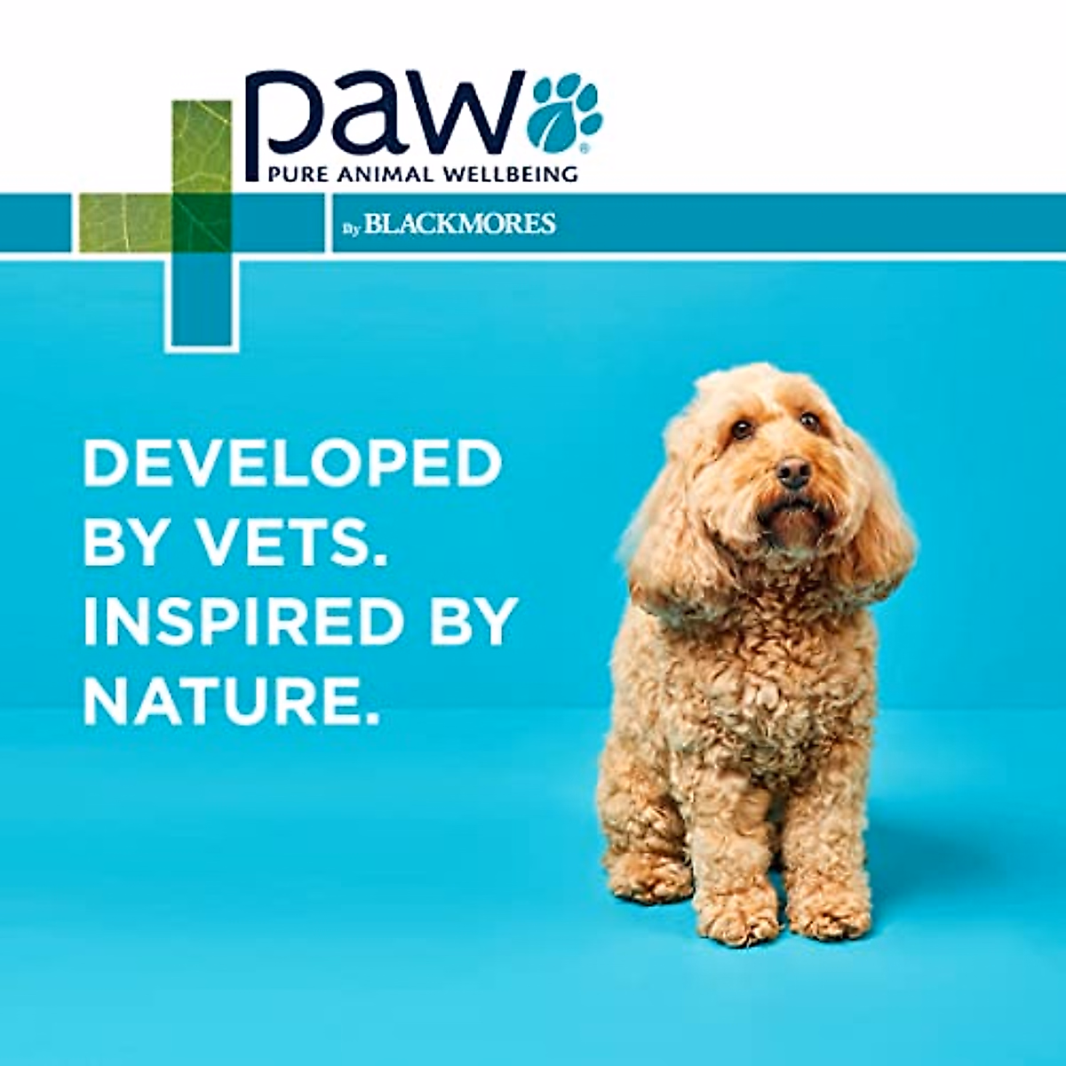 PAW Osteocare Joint Health Chews 500